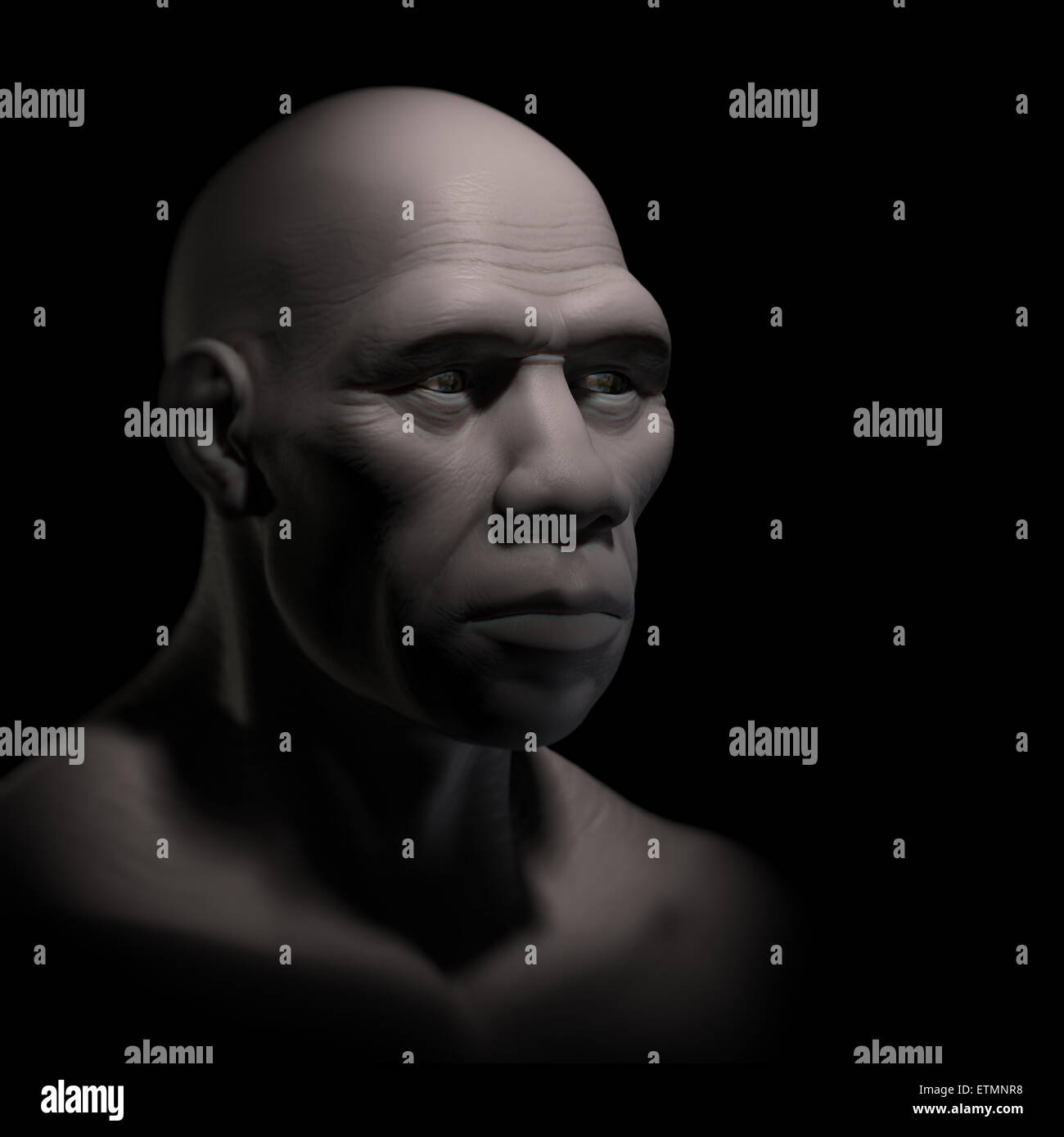 Modern human homo sapiens -Fotos und -Bildmaterial in hoher Auflösung ...