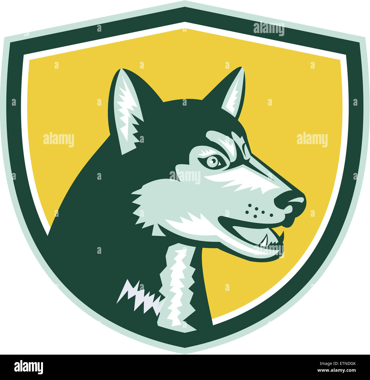 Illustration des Siberian Husky Hund der Spitz Rasse der Seitenansicht ...