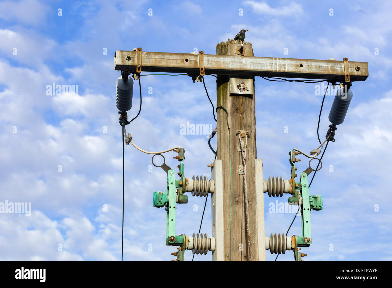 Strommast mit Isolatoren und Leitungen Stockfotografie - Alamy