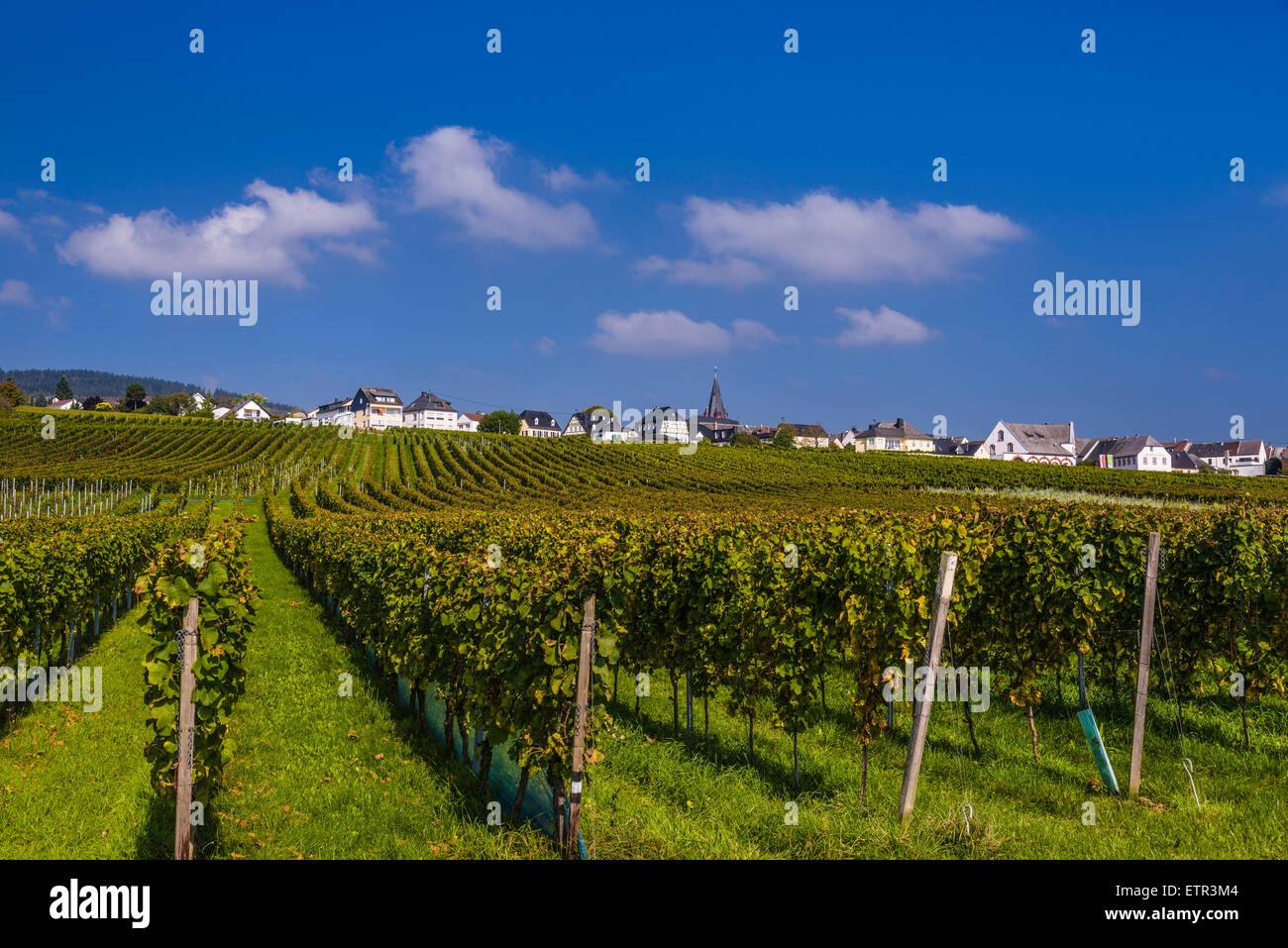 Deutschland, Hessen, Rheingau-Region, Oestrich-Winkel, Stadtteil ...