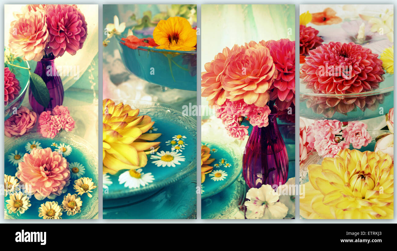 Vier blaue blumen -Fotos und -Bildmaterial in hoher Auflösung – Alamy