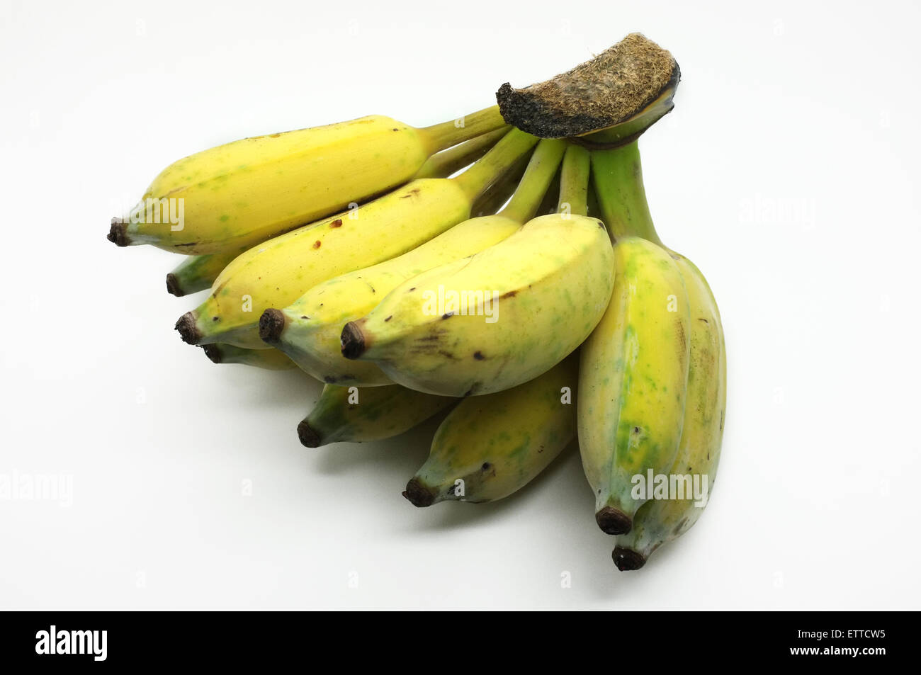 Cultivos bananos -Fotos und -Bildmaterial in hoher Auflösung – Alamy