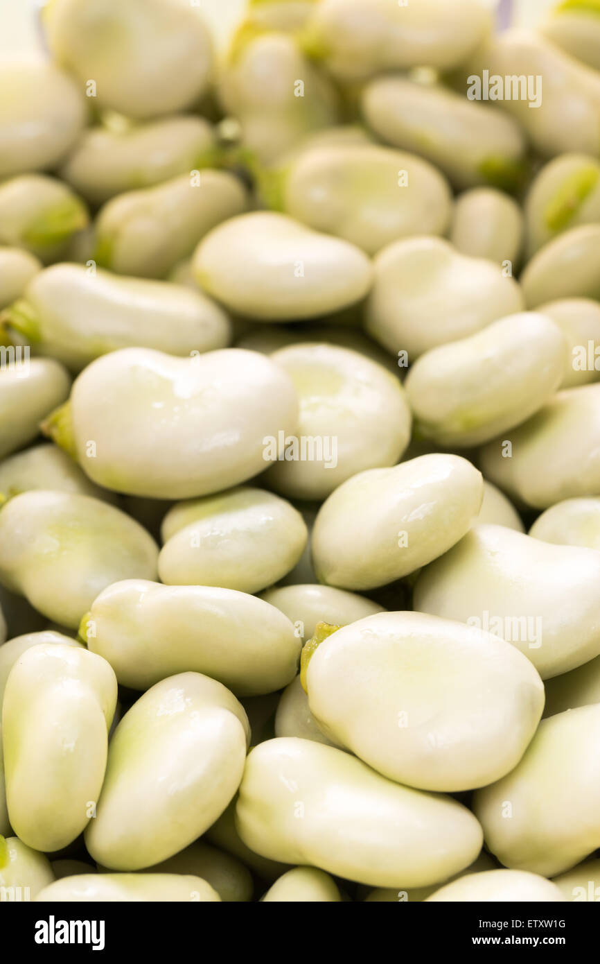 Bohnen breit -Fotos und -Bildmaterial in hoher Auflösung – Alamy