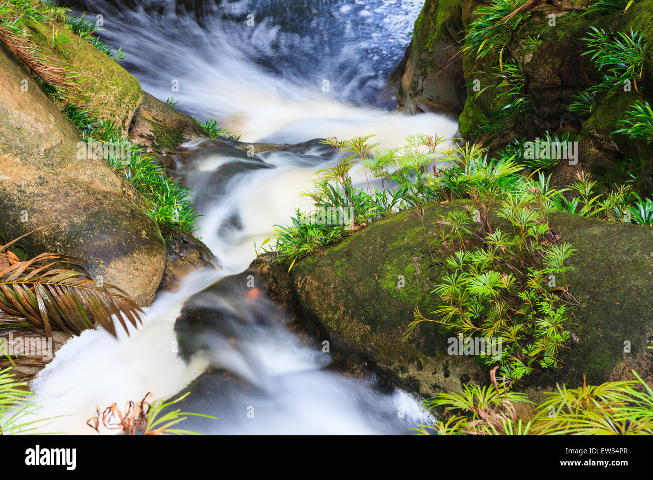 Dschungel wasserfall -Fotos und -Bildmaterial in hoher Auflösung – Alamy