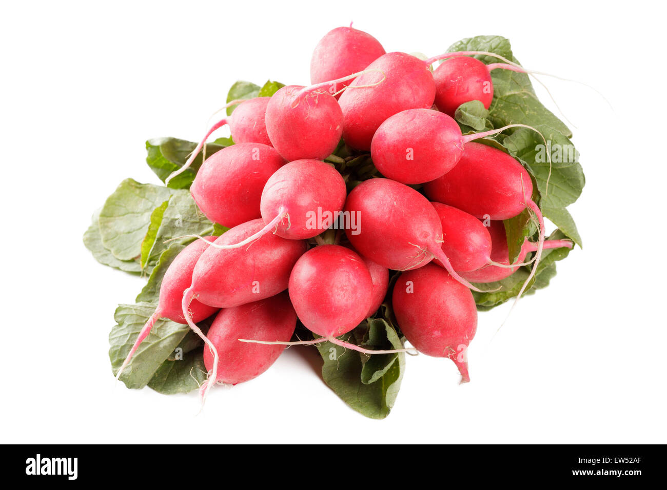 Radieschen hintergrund -Fotos und -Bildmaterial in hoher Auflösung – Alamy