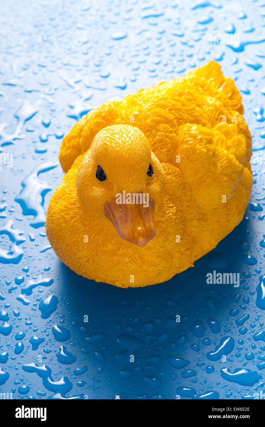 Ente gelb -Fotos und -Bildmaterial in hoher Auflösung – Alamy