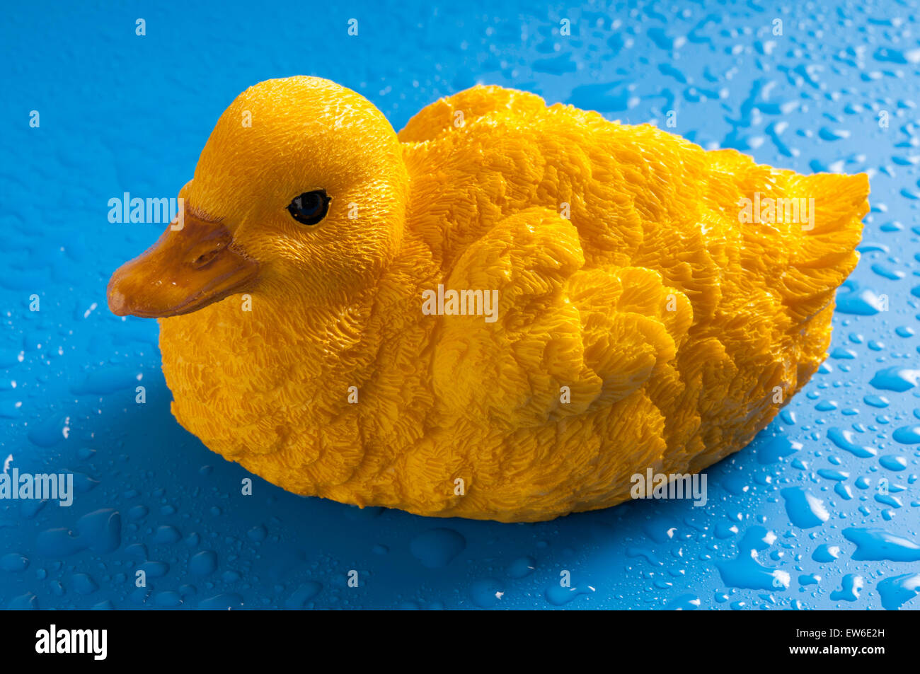 Ente gelb -Fotos und -Bildmaterial in hoher Auflösung – Alamy