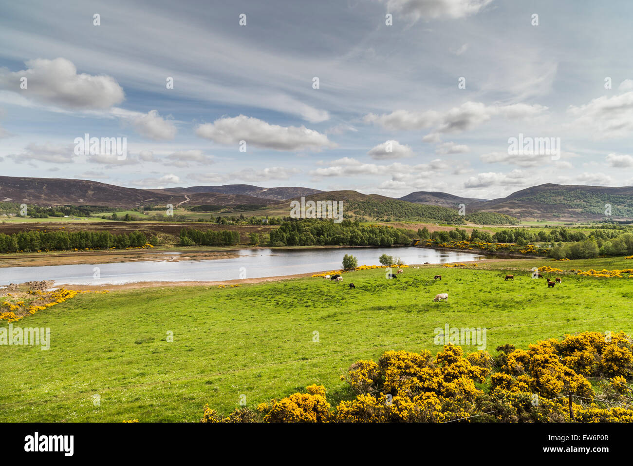 Loch mhor -Fotos und -Bildmaterial in hoher Auflösung – Alamy