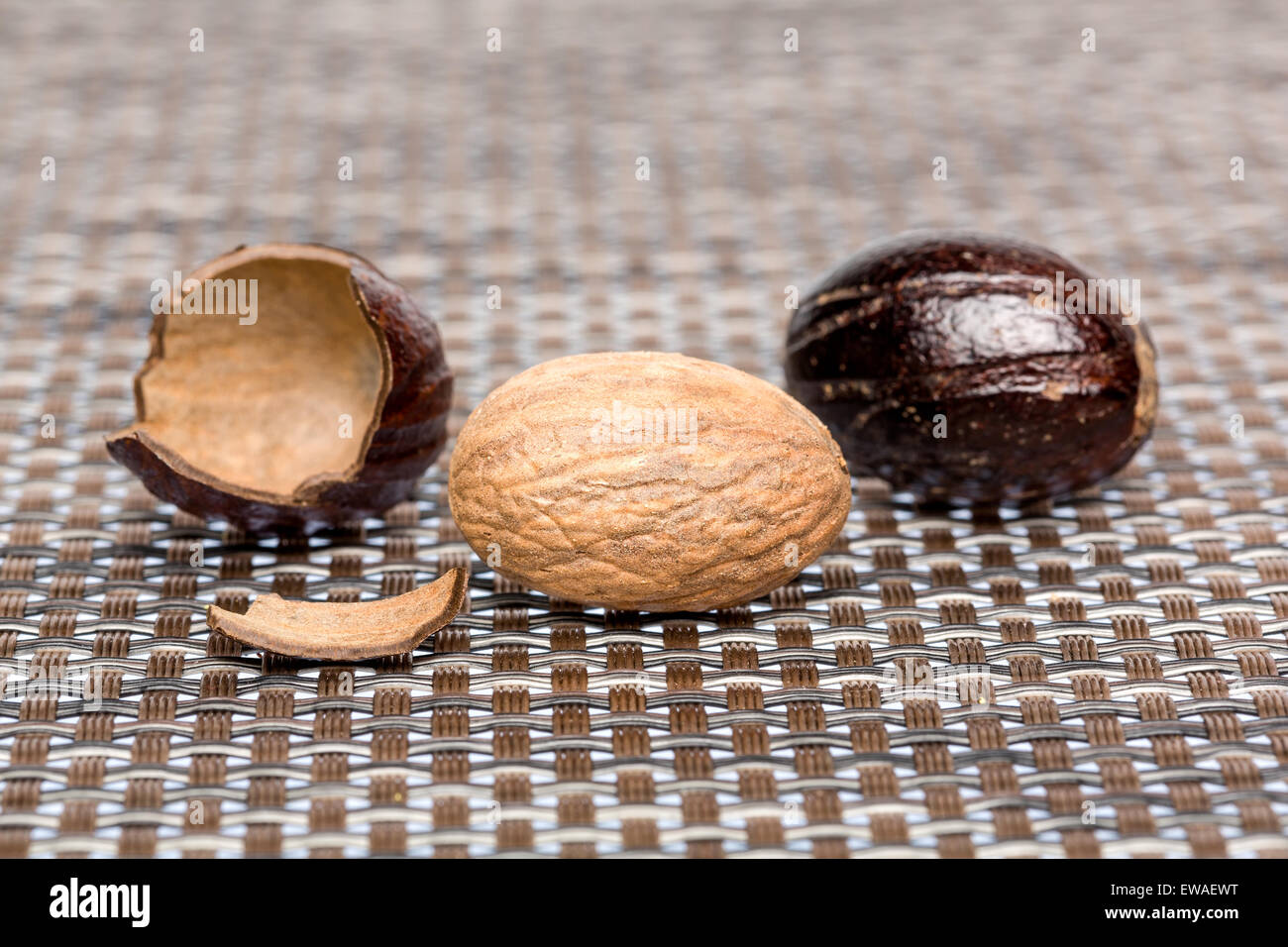 Muscat nut -Fotos und -Bildmaterial in hoher Auflösung – Alamy