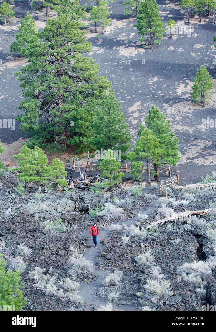 Mann, trekking, Sunset Crater Volcano National Monument, Flagstaff ...
