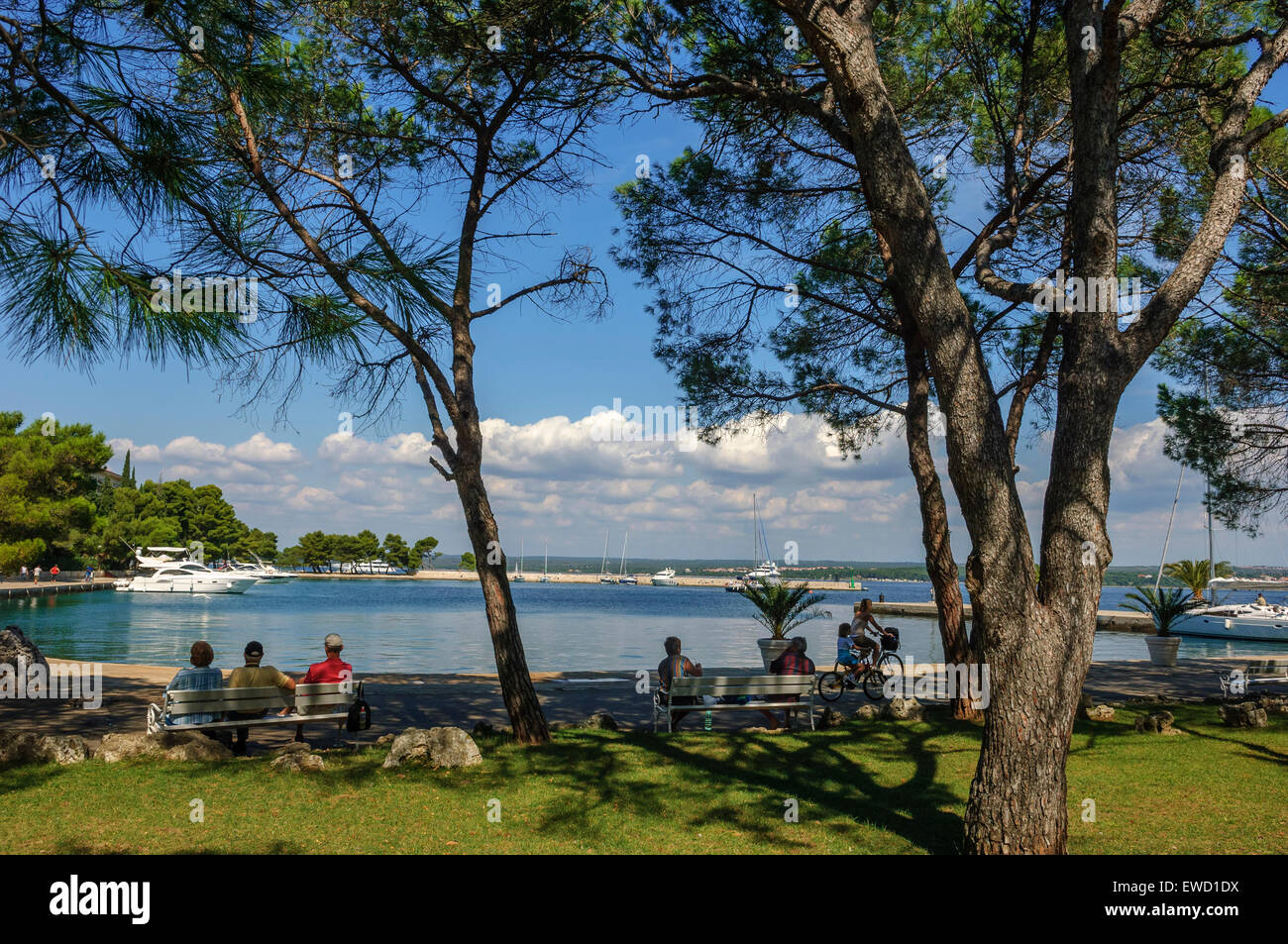 Veli Brijun. Die Brijuni-Inseln. Istrien. Kroatien Stockfotografie - Alamy