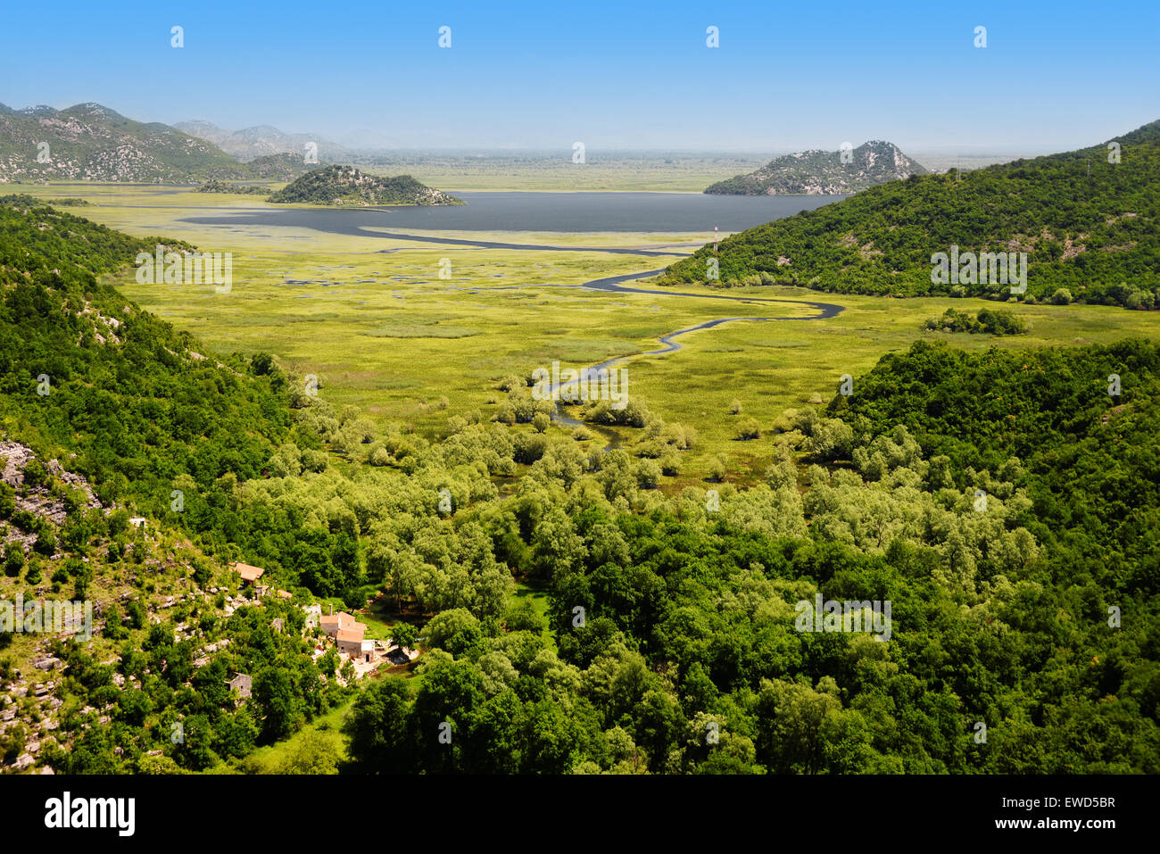 Skadarsko Jezero, Montenegro, der größte See der Balkanhalbinsel Stockfotografie - Alamy