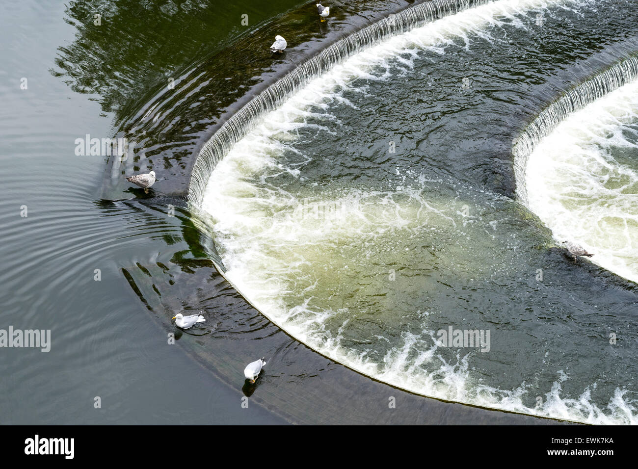Wehr baden -Fotos und -Bildmaterial in hoher Auflösung – Alamy