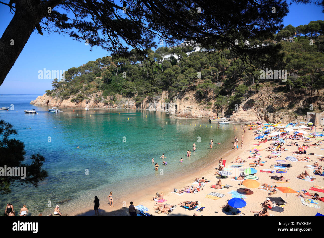Aiguablava Strand in der Nähe von Begur, Costa Brava, Katalonien ...