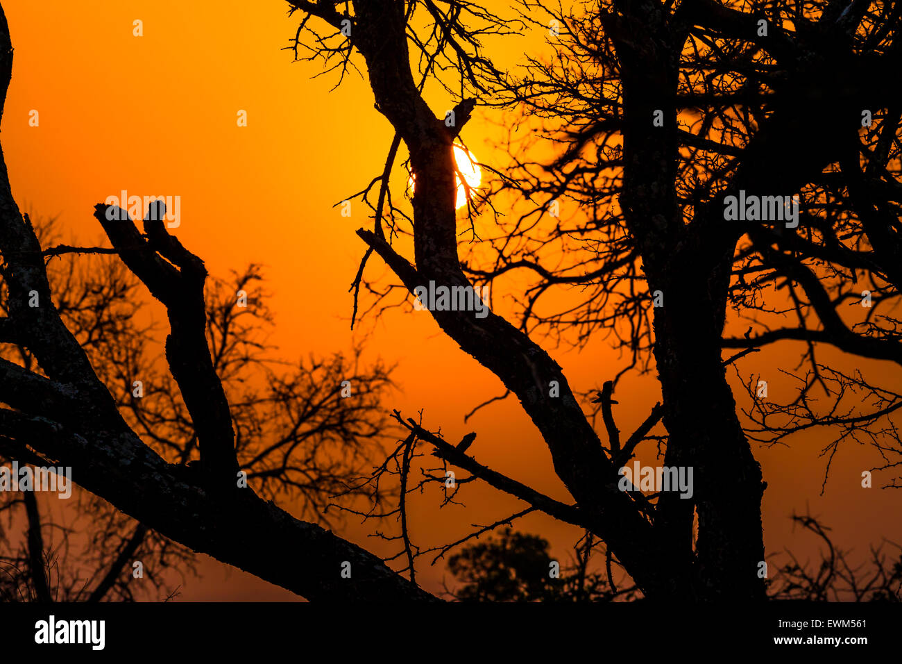 Afrikanische hintergrund -Fotos und -Bildmaterial in hoher Auflösung – Alamy