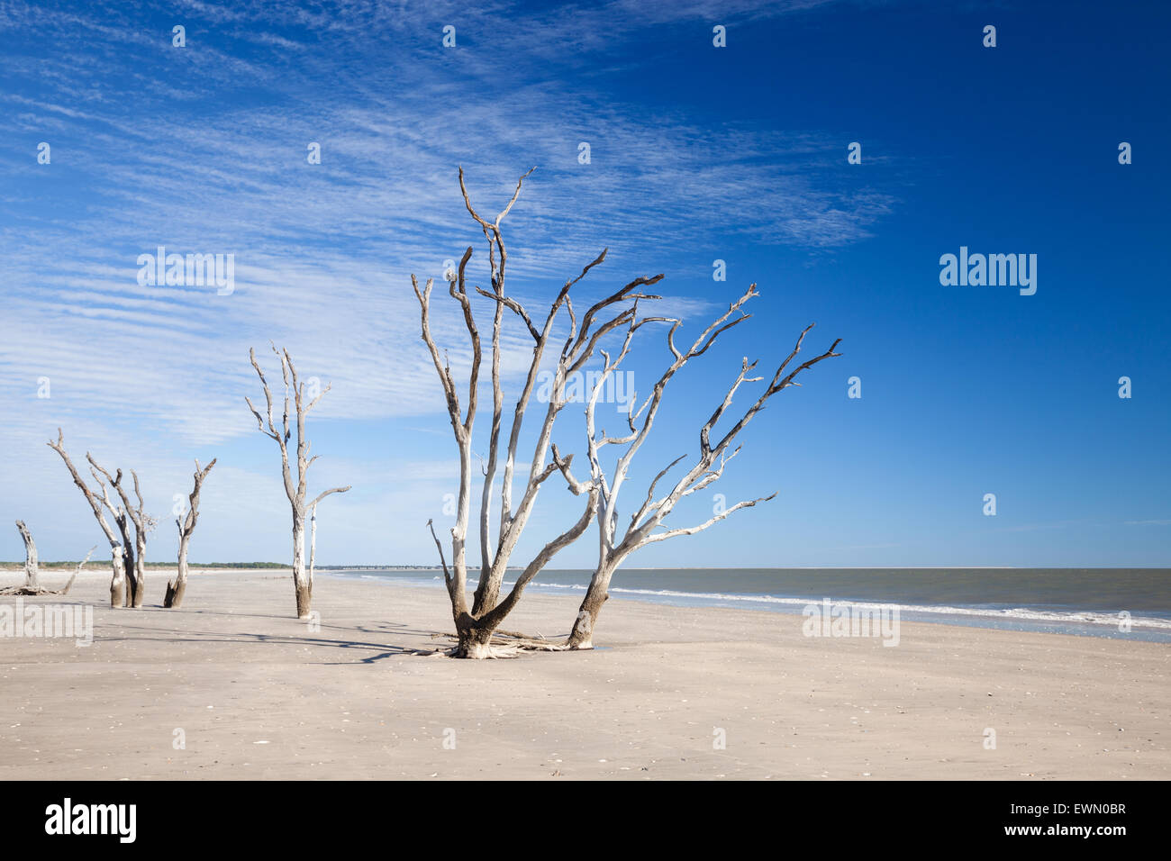 Botany Bay Strand, Edisto Island, South Carolina, USA Stockfotografie ...