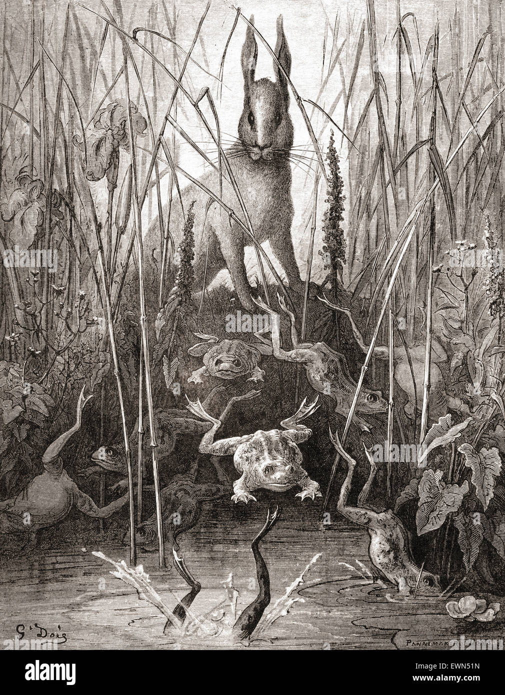 Gustave Abbildung von La Fontaine Fabel der Hase und die Frösche (Le ...