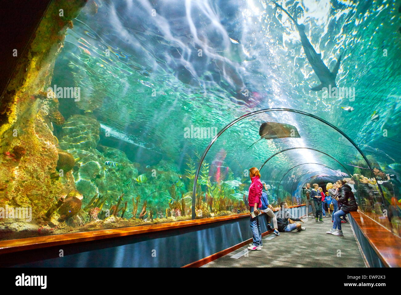 Galerie Aquarium Loropark Pictures