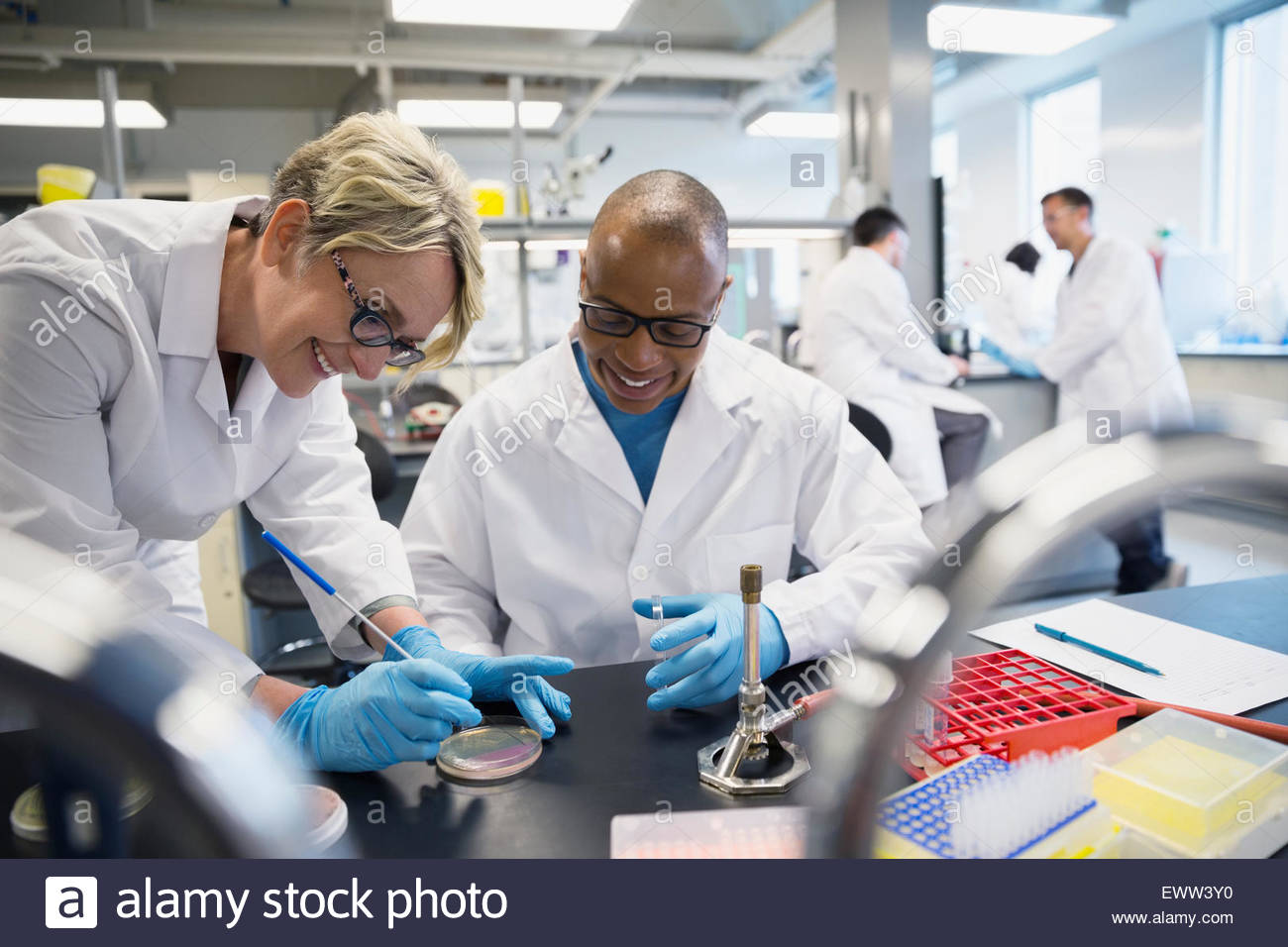 Wissenschaftliches experimentierlabor -Fotos und -Bildmaterial in hoher ...