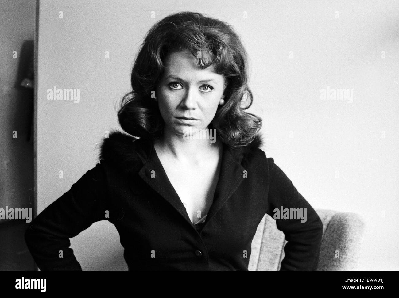 Lotti Krekel Stockfotos und -bilder Kaufen - Alamy