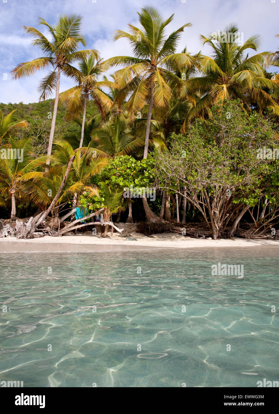 Oppenheimer strand -Fotos und -Bildmaterial in hoher Auflösung – Alamy