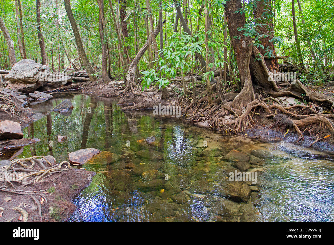 Gubara Pools im Kakadu National Park Stockfotografie - Alamy