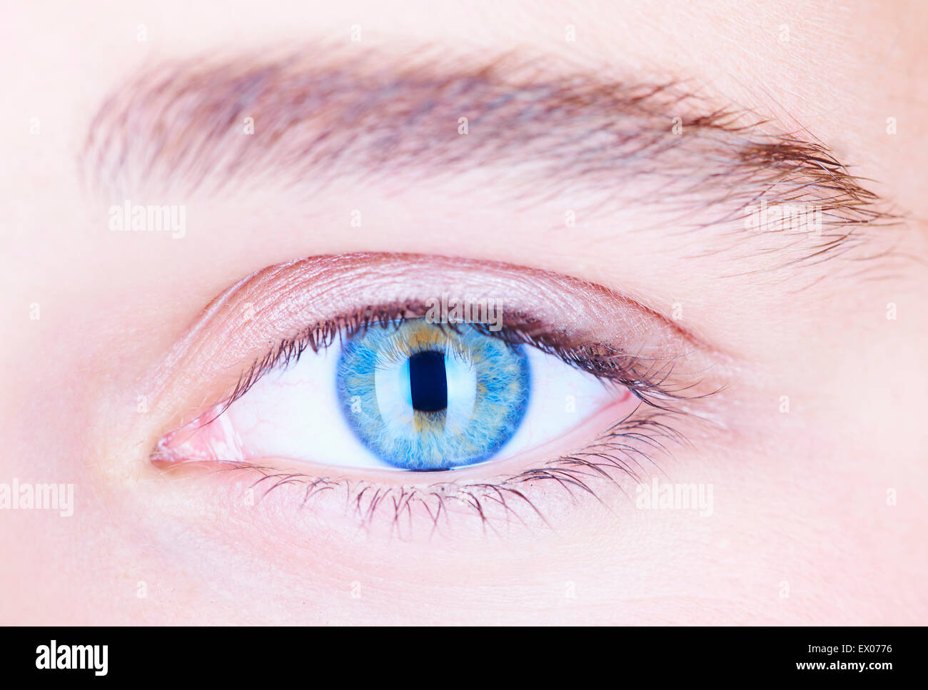 Blue Eye Stockfotos und -bilder Kaufen - Alamy