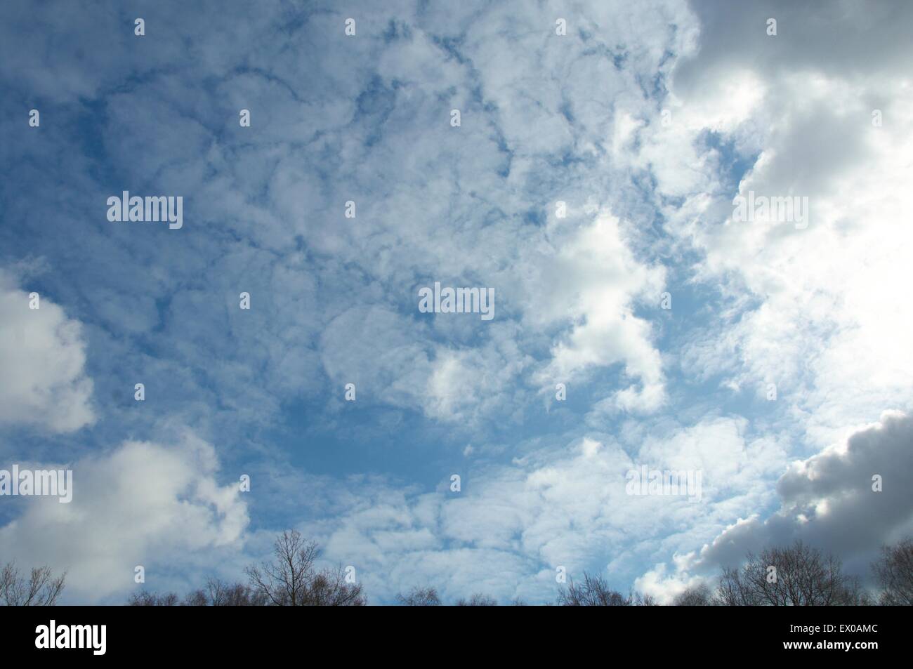 Baumwipfel in den wolken -Fotos und -Bildmaterial in hoher Auflösung – Alamy