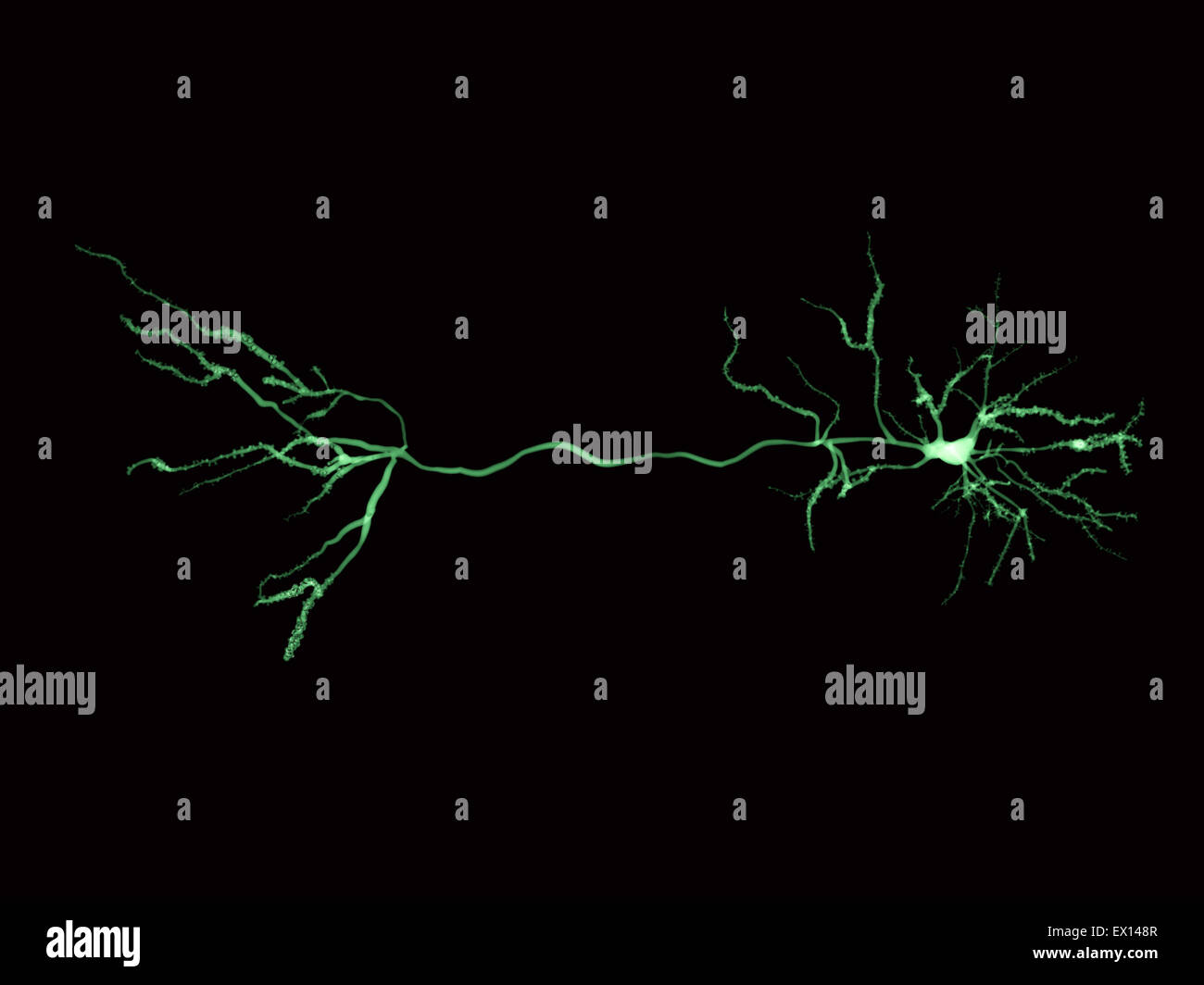 Synapse computer abbildung der synapse -Fotos und -Bildmaterial in ...