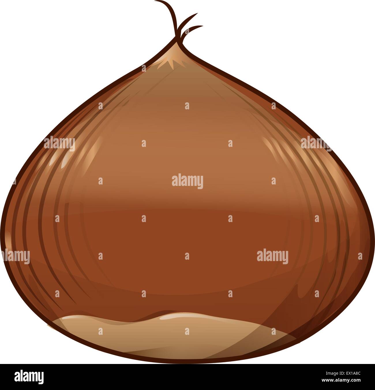 Kastanie frucht illustration Stock-Vektorgrafiken kaufen - Alamy
