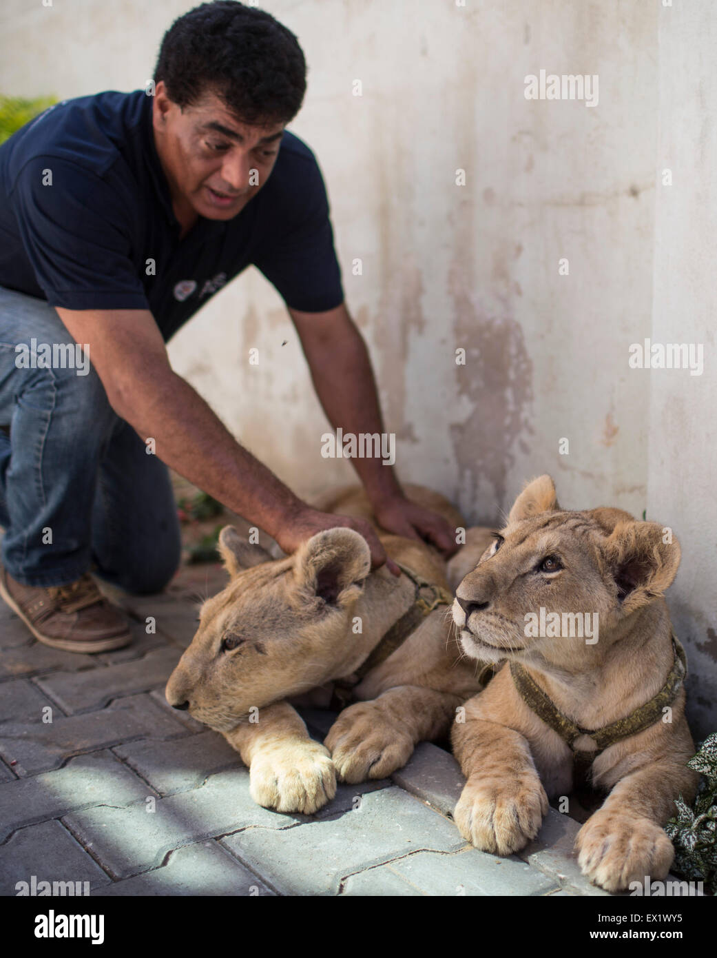 Amir khalil -Fotos und -Bildmaterial in hoher Auflösung – Alamy