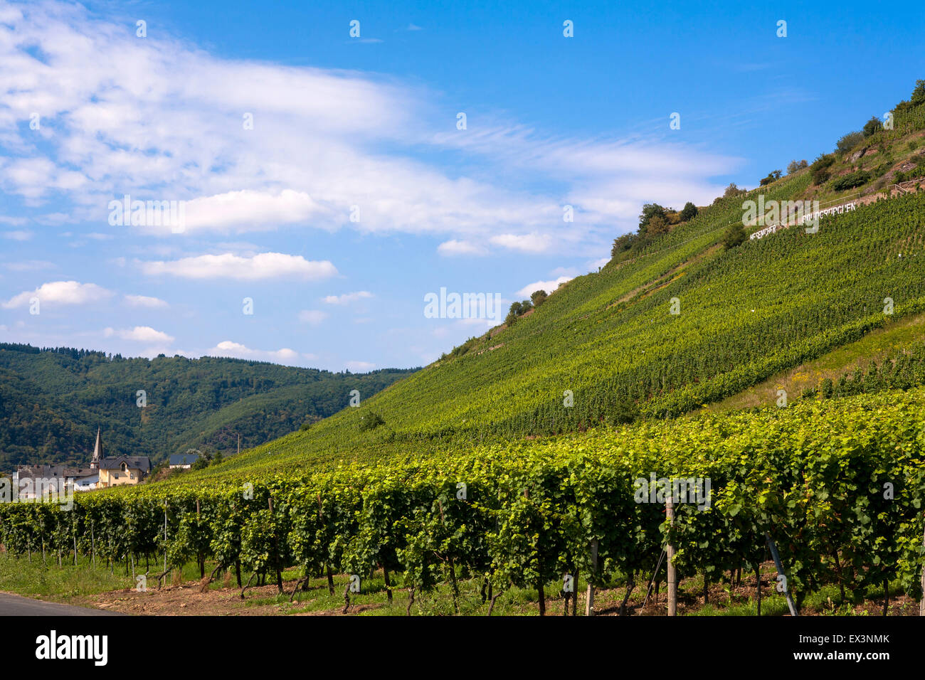 Zell An Der Mosel Stockfotos und -bilder Kaufen - Seite 2 - Alamy