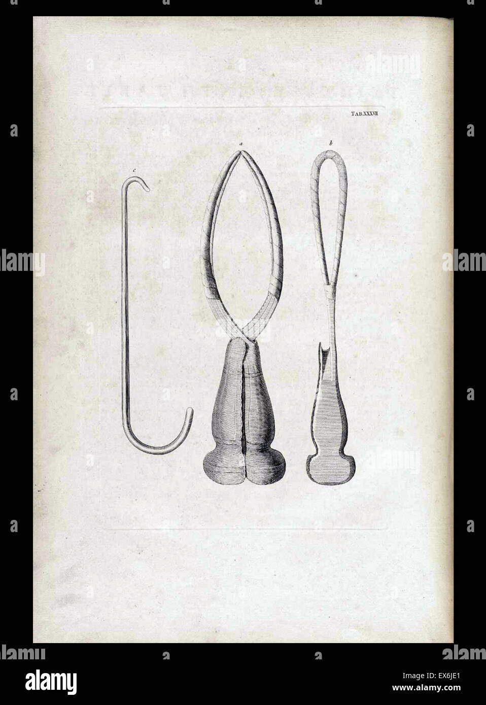 Einstellung Von Anatomischen Tabellen Stockfotos und -bilder Kaufen - Alamy