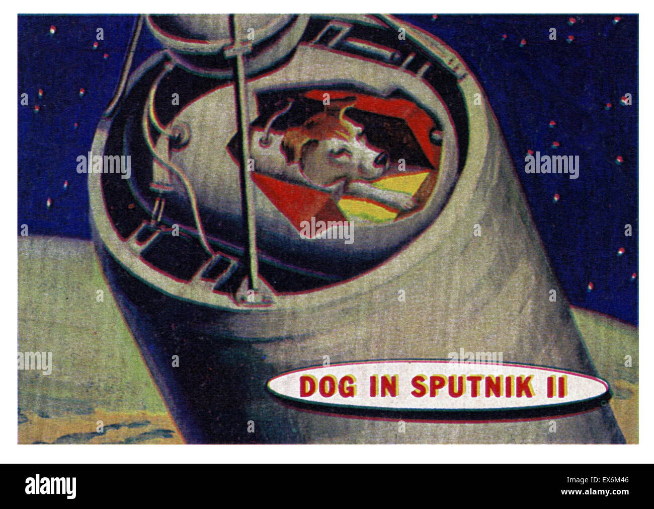 Laika Space Stockfotos und -bilder Kaufen - Alamy