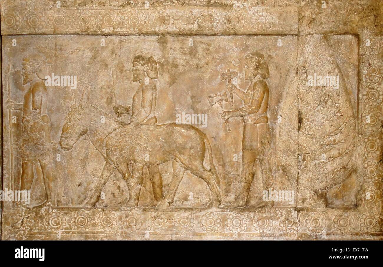 Persischer persisch -Fotos und -Bildmaterial in hoher Auflösung – Alamy