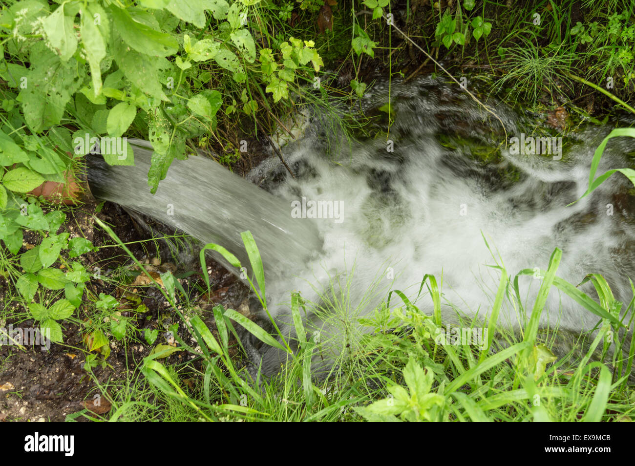Wasser gießt -Fotos und -Bildmaterial in hoher Auflösung – Alamy