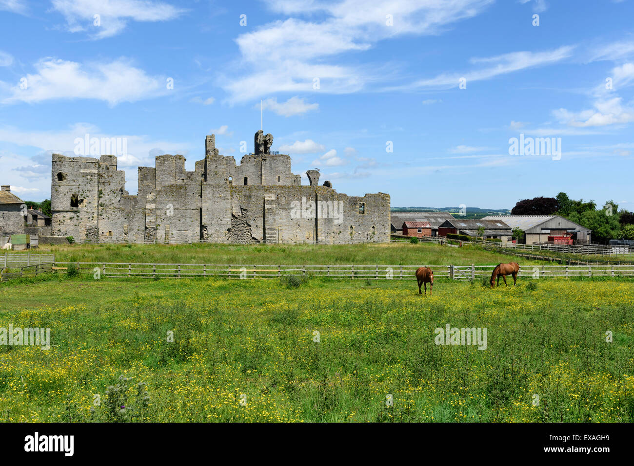 Middleham castle -Fotos und -Bildmaterial in hoher Auflösung – Alamy