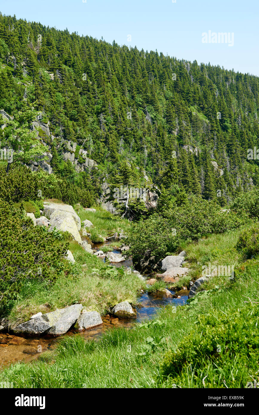 Quelle des flusses labe elbe -Fotos und -Bildmaterial in hoher ...