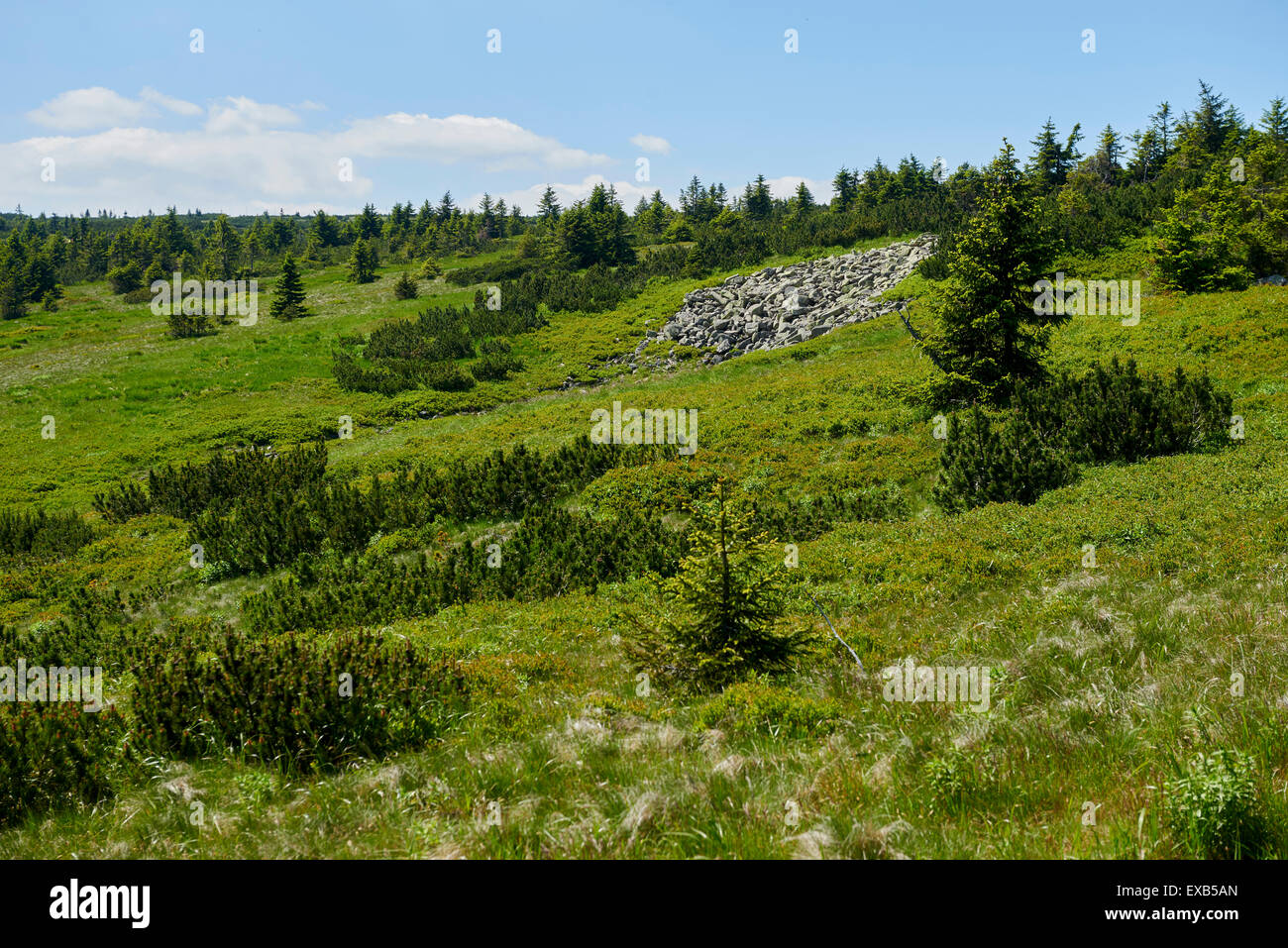 Quelle des flusses labe elbe -Fotos und -Bildmaterial in hoher ...