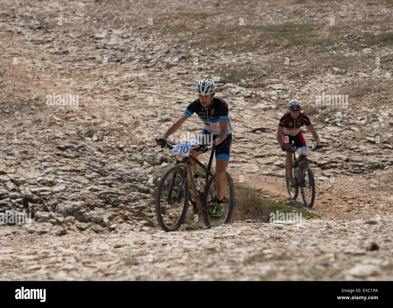 Mountainbike-Rennen im Nationalpark Kamenjak, Istrien, Kroatien ...