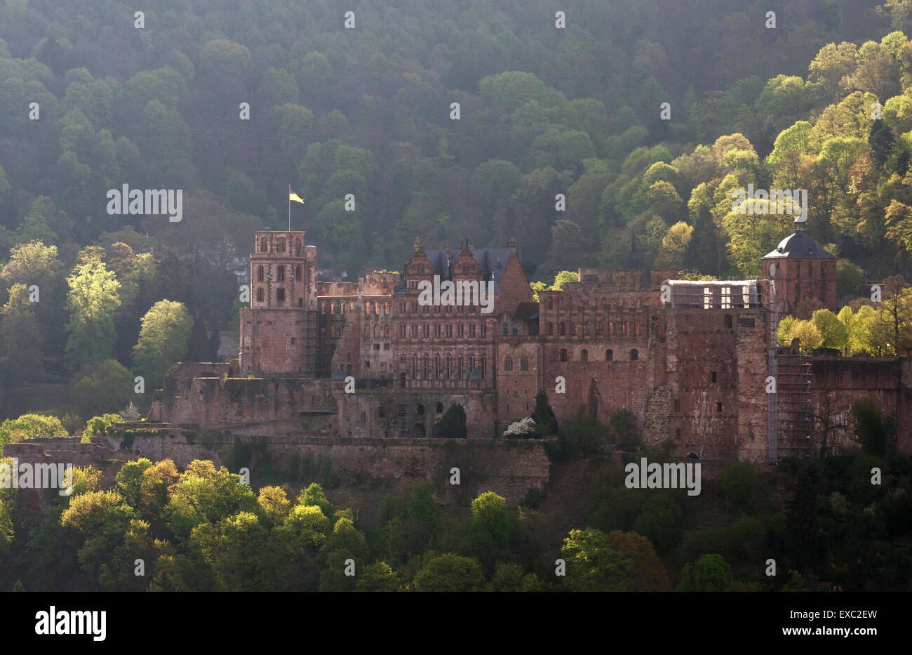 Heidelberg castle -Fotos und -Bildmaterial in hoher Auflösung – Alamy
