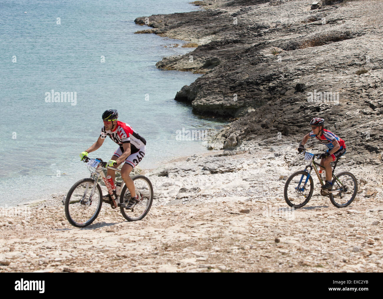 Mountainbike-Rennen im Nationalpark Kamenjak, Istrien, Kroatien ...
