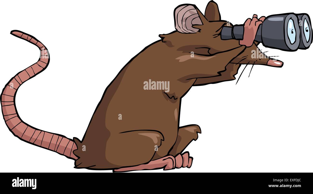 Rat Vector Vectors Stockfotos & Rat Vector Vectors Bilder - Alamy