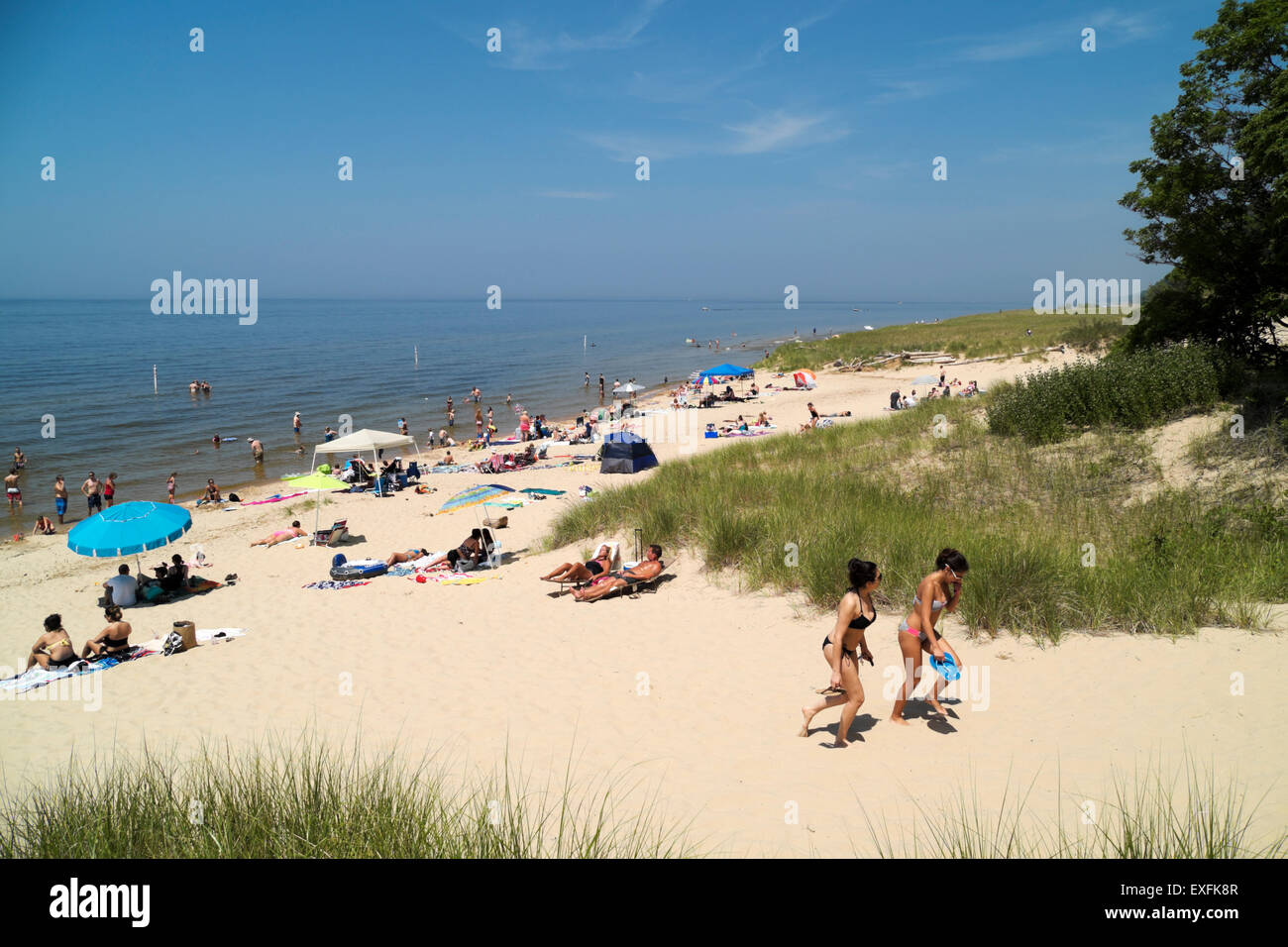 Hoffmeister state park -Fotos und -Bildmaterial in hoher Auflösung – Alamy