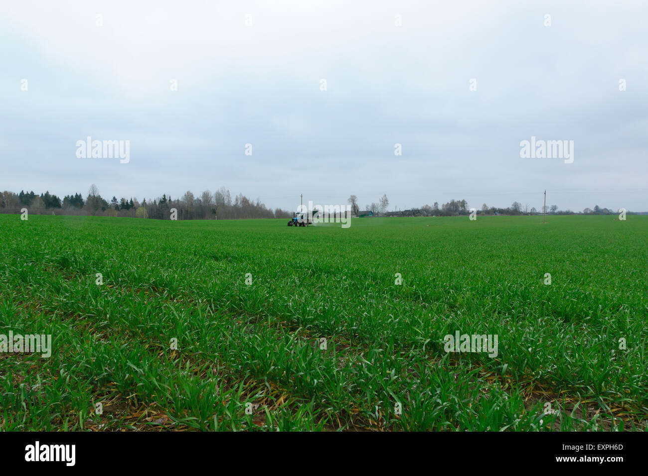 der blaue Traktor mit einem Spray bearbeitet ein grünes Feld für eine ...