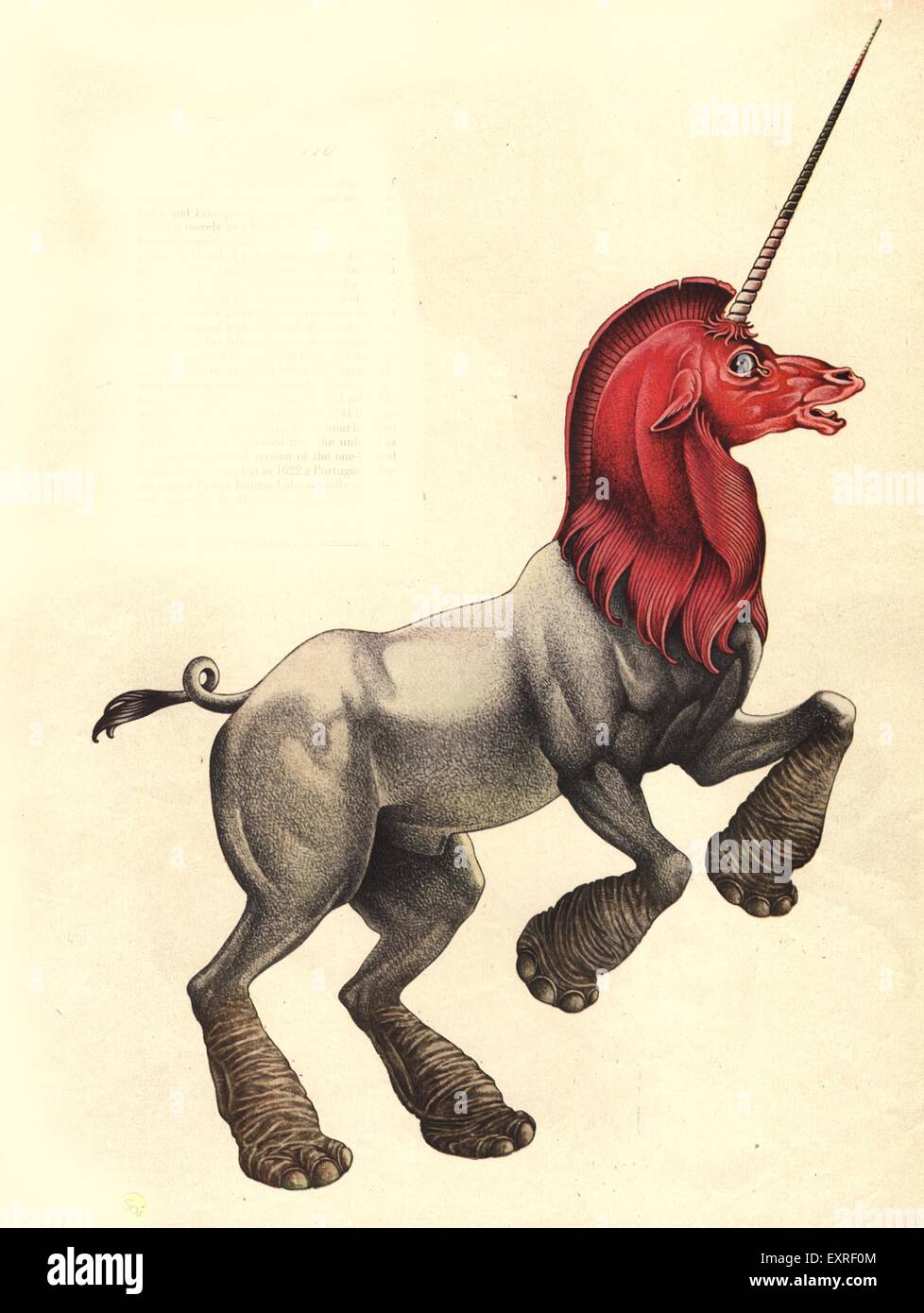 Mythological animals -Fotos und -Bildmaterial in hoher Auflösung – Alamy