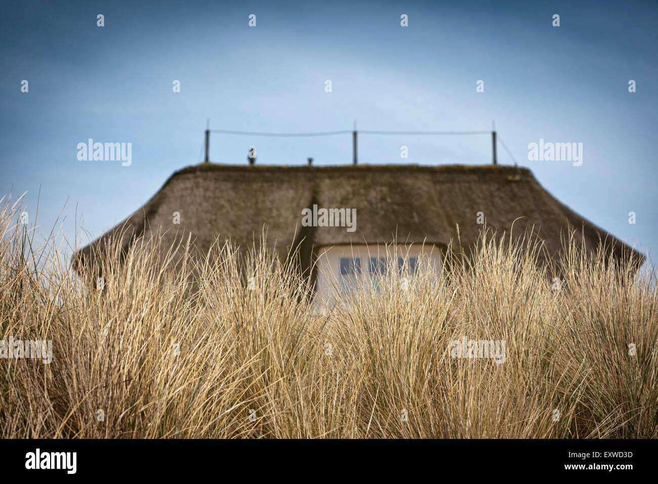 Strohdach Haus auf der Insel Sylt, Schleswig-Holstein, Deutschland ...