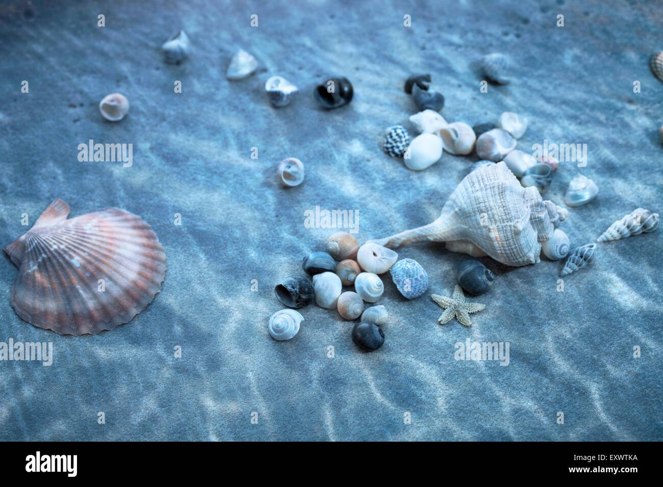Schwimmbad pools baden -Fotos und -Bildmaterial in hoher Auflösung – Alamy