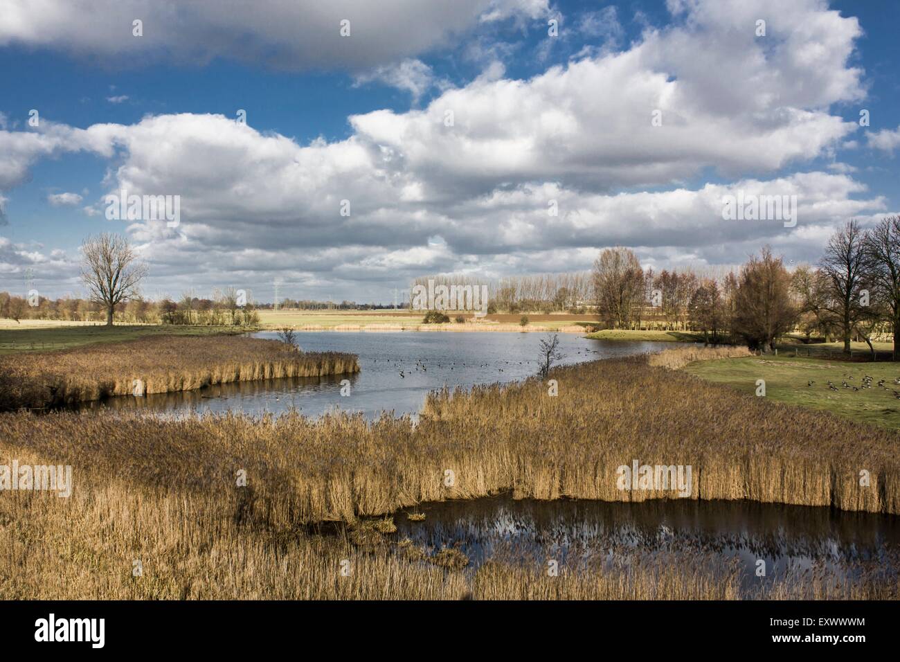 Lower Rhine Region Stockfotos und -bilder Kaufen - Alamy