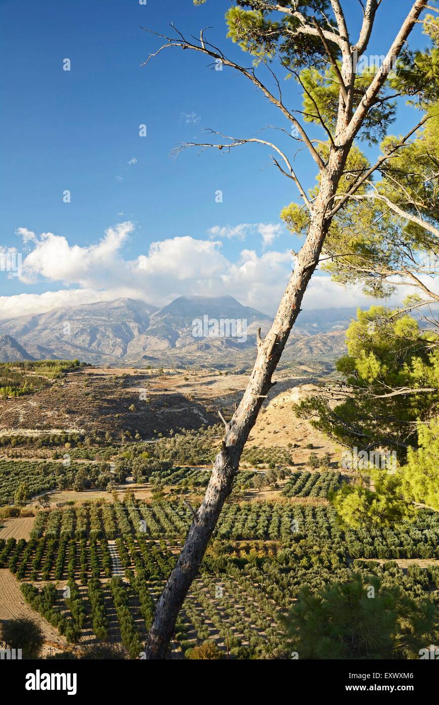 Landscape with ida mountains -Fotos und -Bildmaterial in hoher ...
